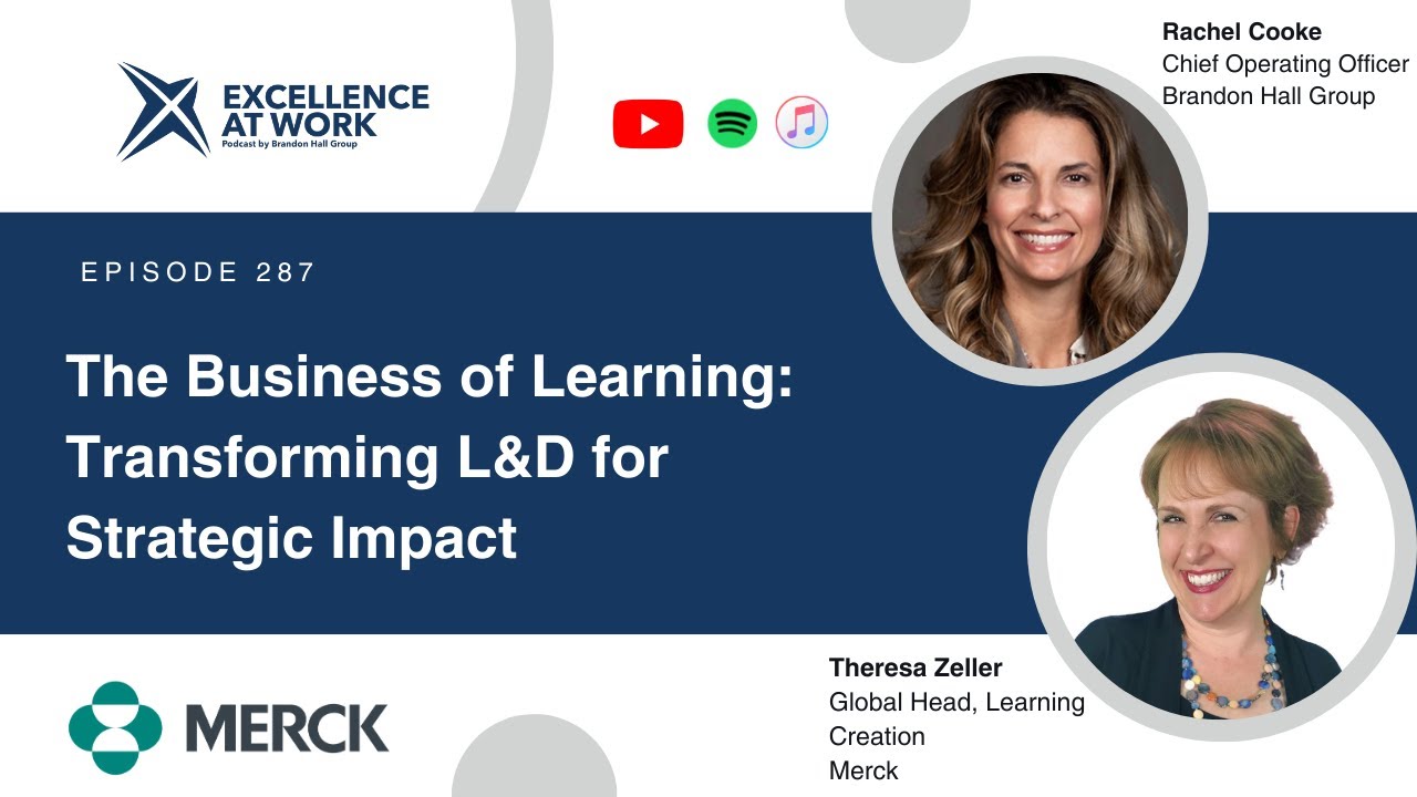 Excellence at Work Episode 287: The Business of Learning: Transforming ...